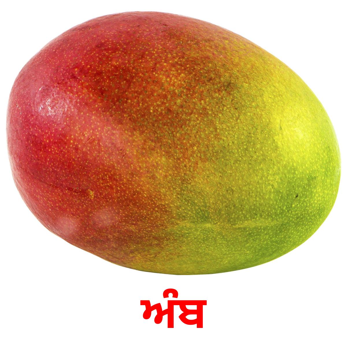 21 Printable Fruits Flashcards in Punjabi(Gurmukhi) (Free PDF)