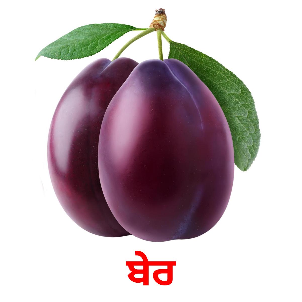 20 FREE Fruits Flashcards | PDF | Punjabi(Gurmukhi) Words