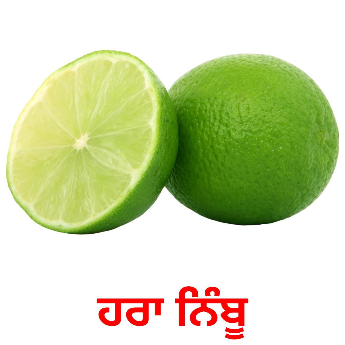 21 Printable Fruits Flashcards in Punjabi(Gurmukhi) (Free PDF)