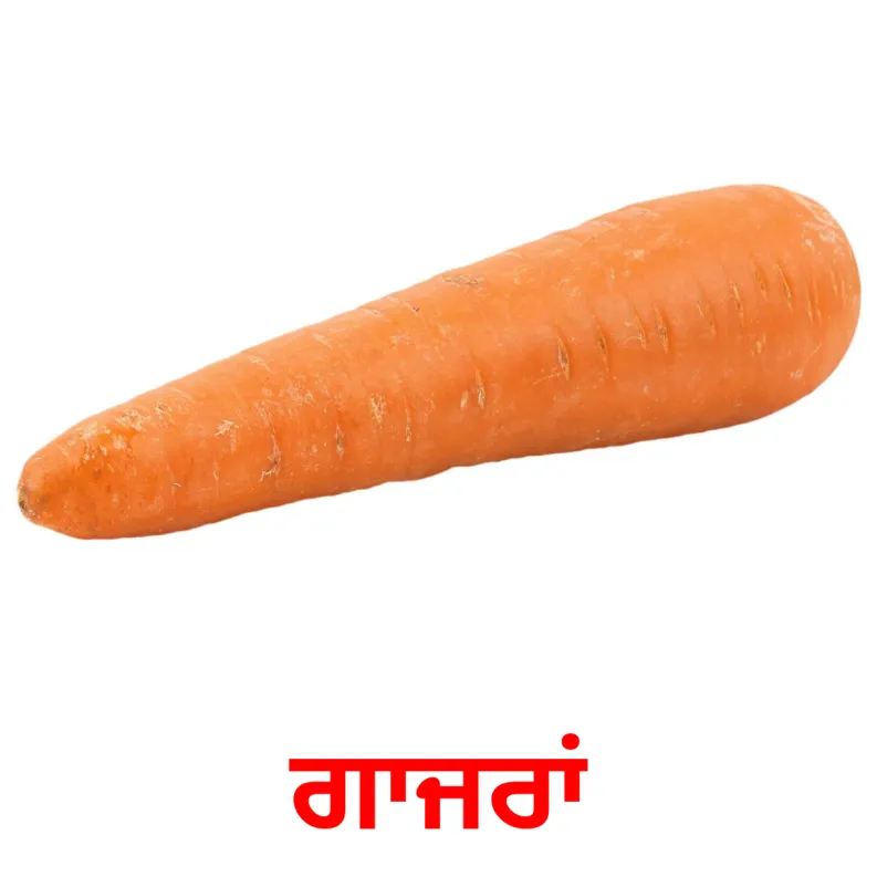 29 FREE Vegetables Flashcards | PDF | Punjabi(Gurmukhi) Words