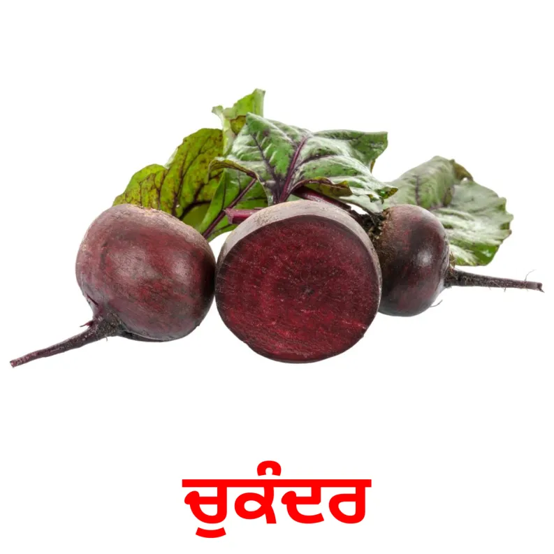 29 FREE Vegetables Flashcards | PDF | Punjabi(Gurmukhi) Words