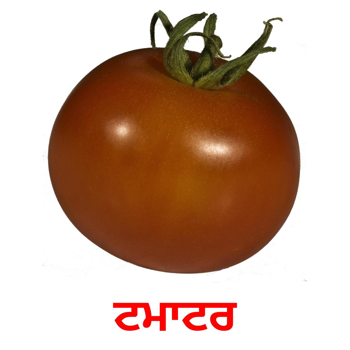 30 Printable Vegetables Flashcards in Punjabi(Gurmukhi) (Free PDF)