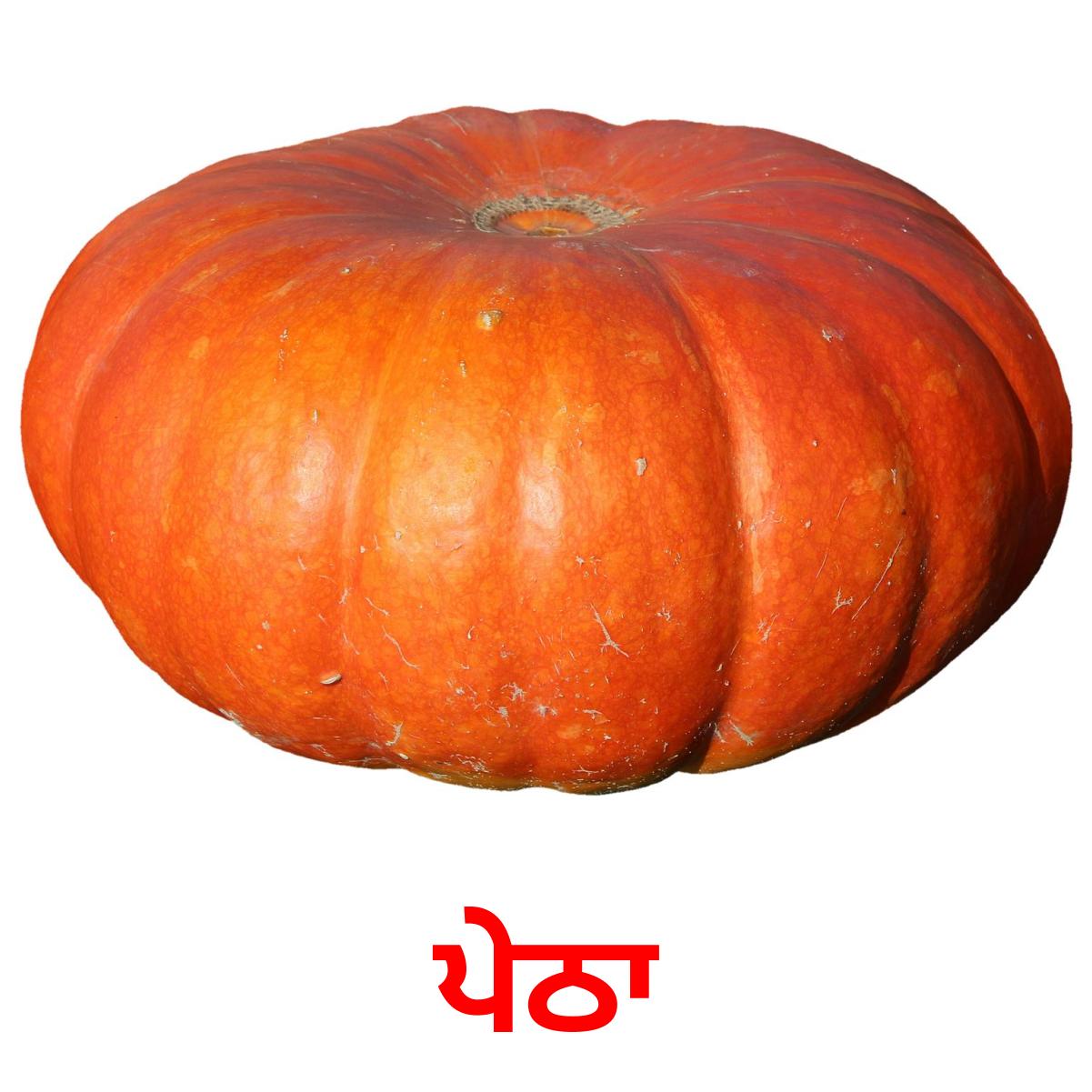 30 Printable Vegetables Flashcards in Punjabi(Gurmukhi) (Free PDF)
