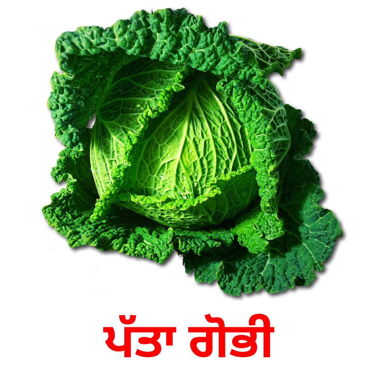 30 Printable Vegetables Flashcards in Punjabi(Gurmukhi) (Free PDF)