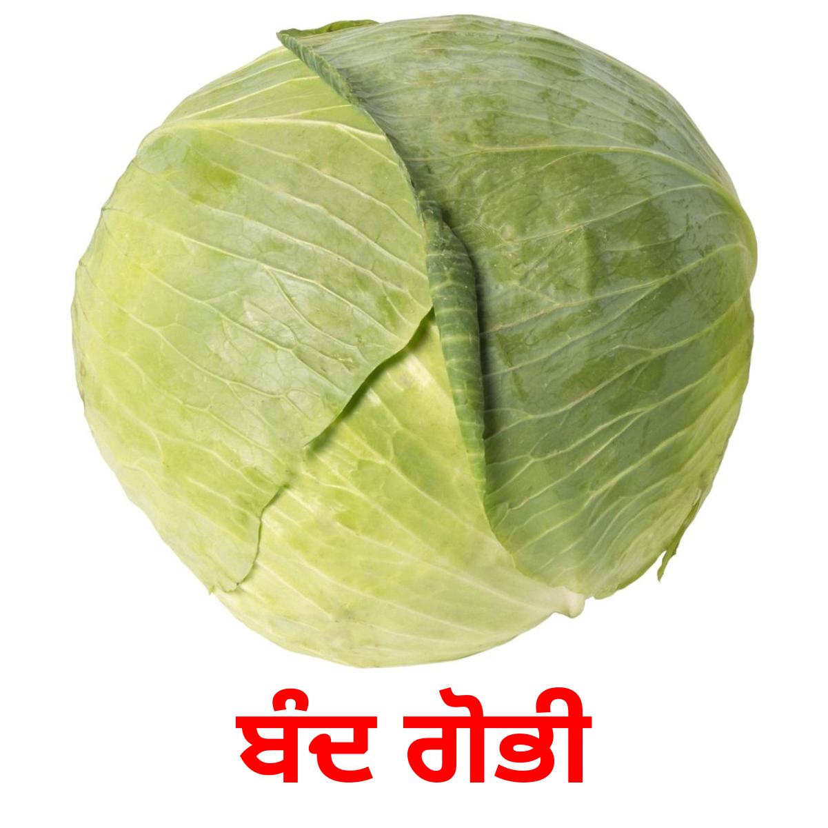30 Printable Vegetables Flashcards in Punjabi(Gurmukhi) (Free PDF)