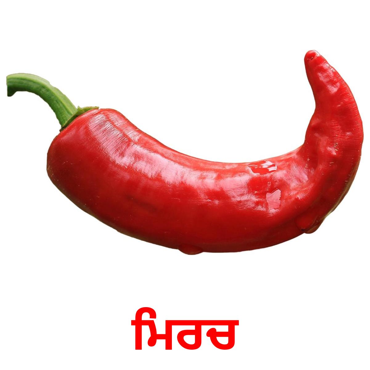30 Printable Vegetables Flashcards in Punjabi(Gurmukhi) (Free PDF)