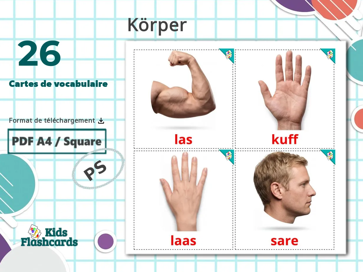 26 Cartes de Vocabulaire pour Enfants GRATUITES Parties du Corps Humain ...