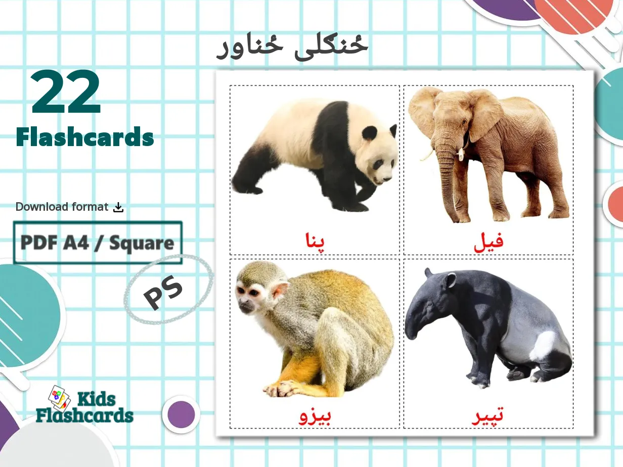 22 Printable Jungle animals Flashcards in Pashto (Free PDF)