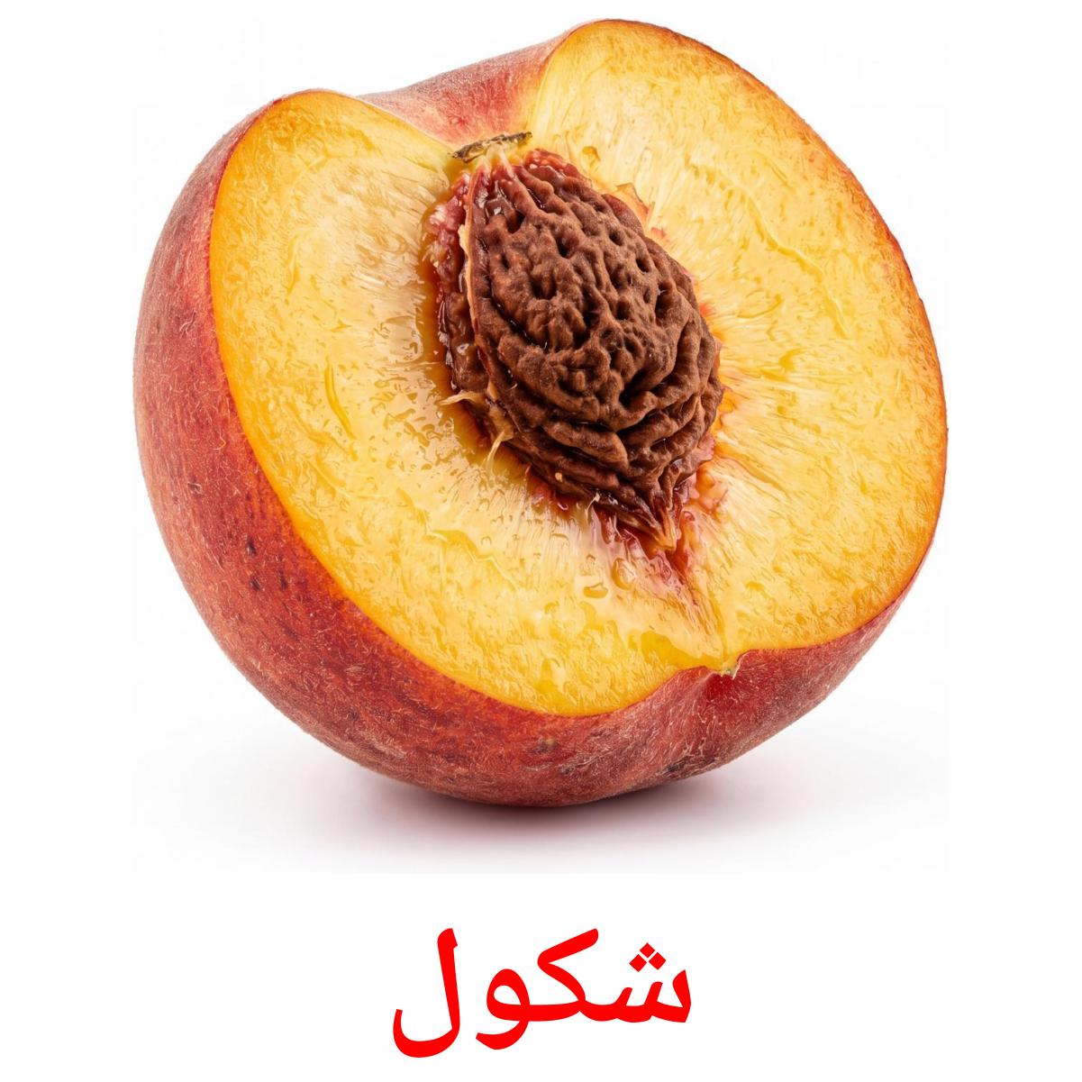 21 Printable Fruits Flashcards in Pashto (Free PDF)