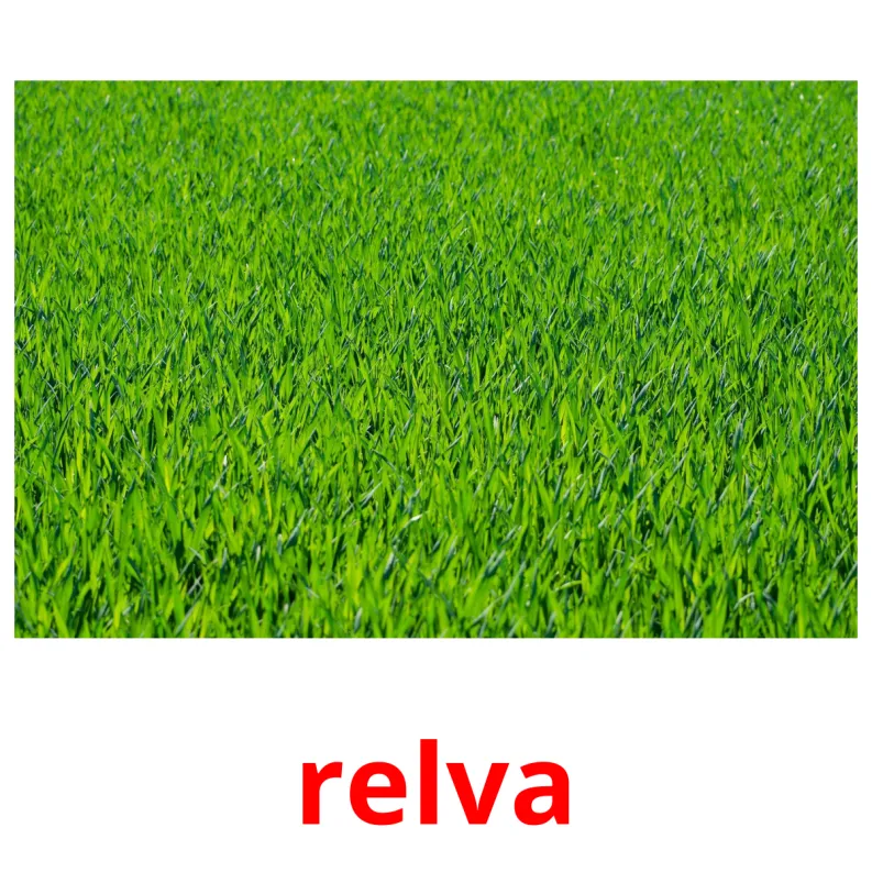 18 Tarjetas de Aprendizaje de Jardinería GRATIS en PDF | Imágenes en ...