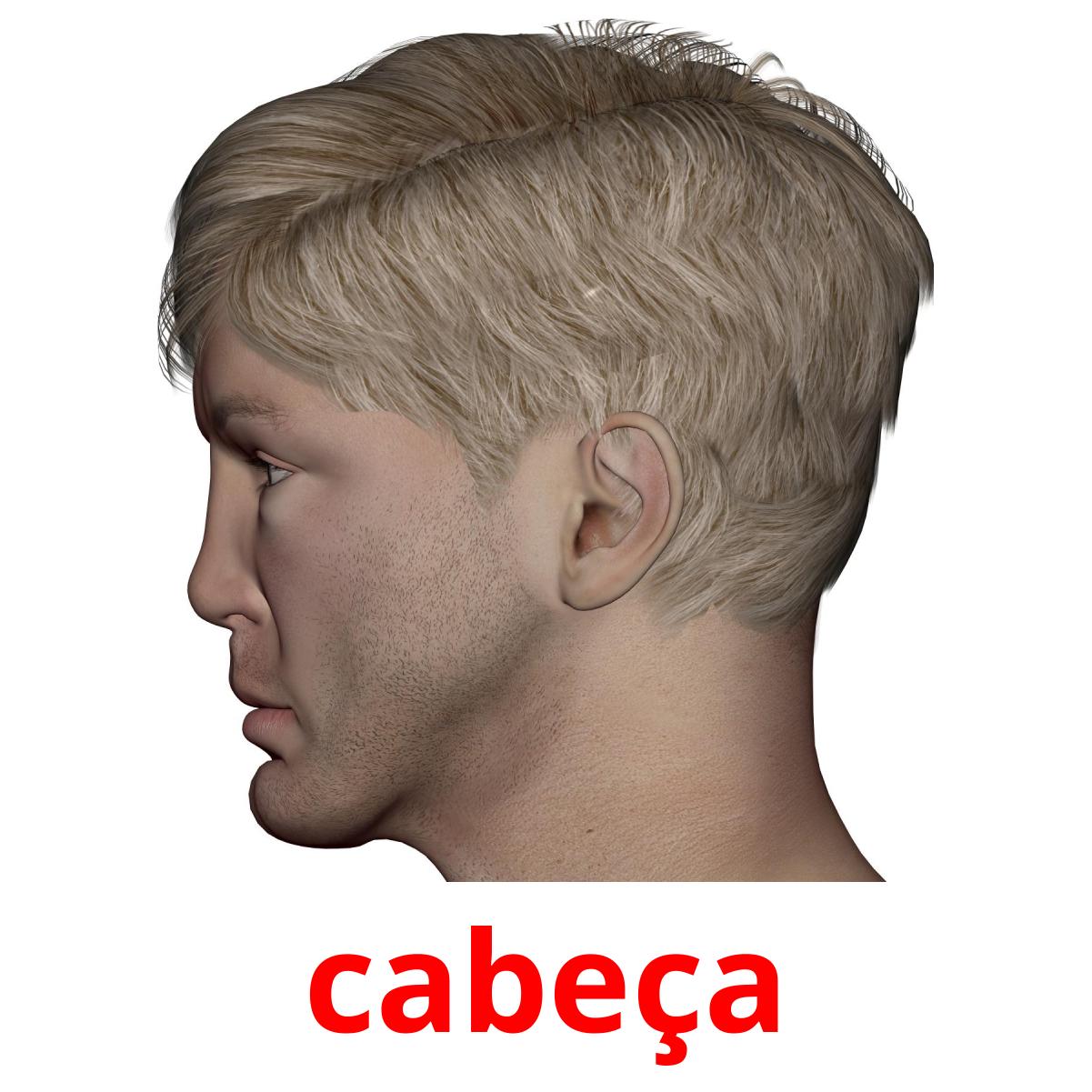 26 Printable Body Parts Flashcards in Portuguese (Free PDF)