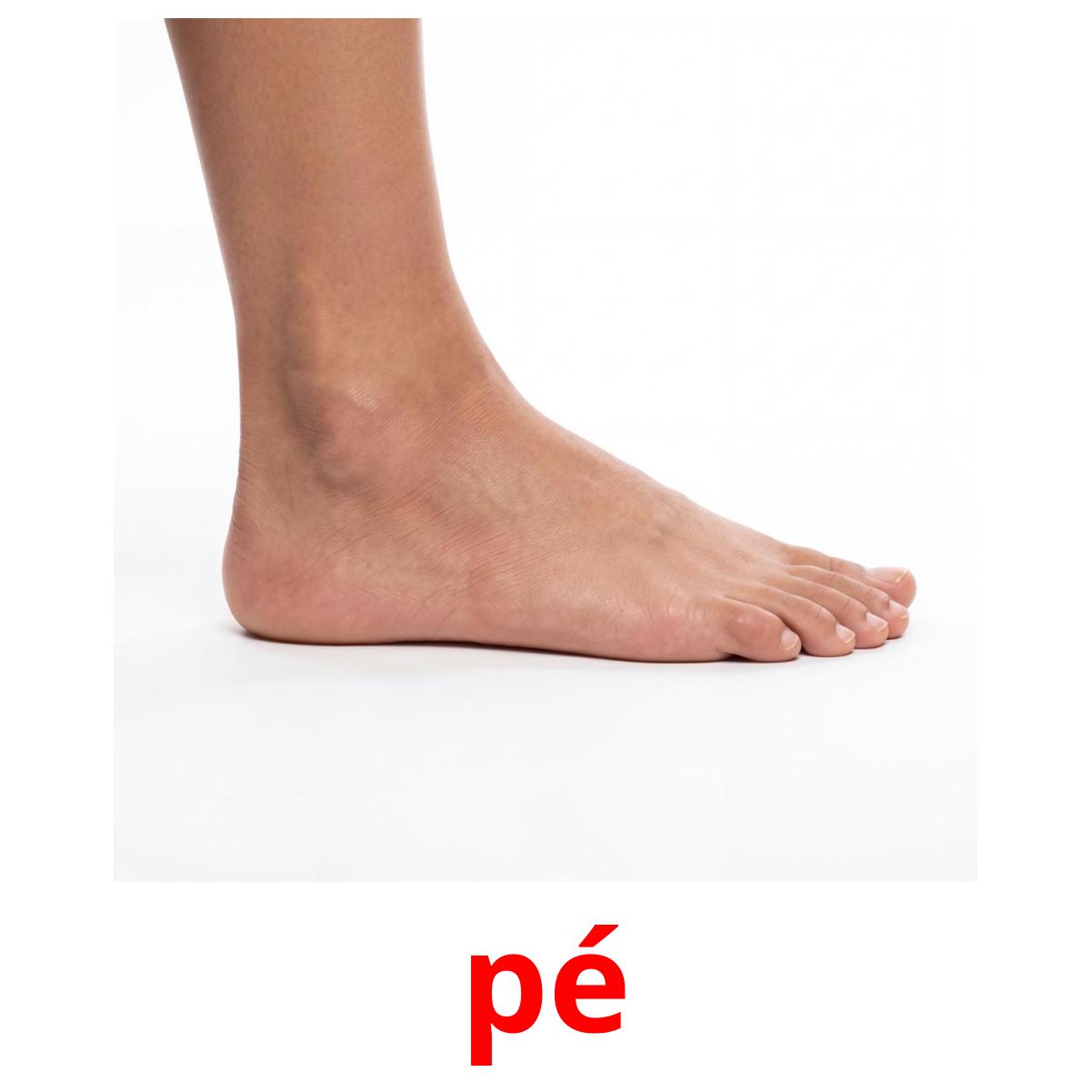 26 FREE Body Parts Flashcards | PDF | Portuguese Words
