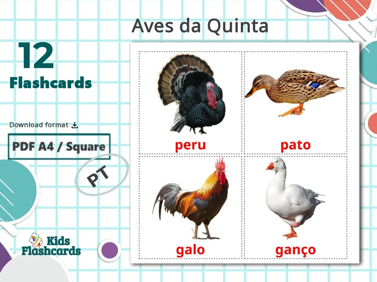 12 Printable Farm birds Flashcards in Portuguese (Free PDF)