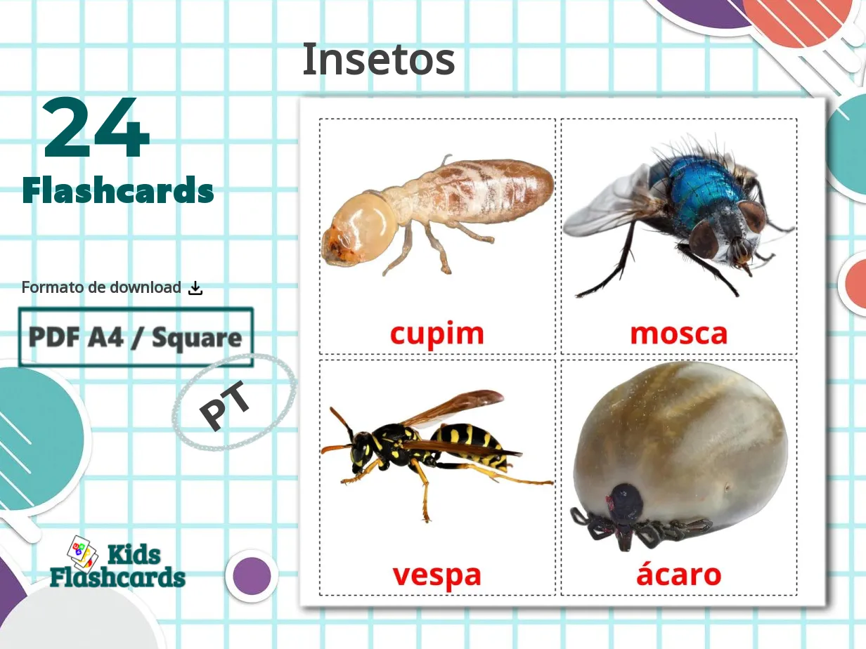 24 Cartões linguagem de Insetos GRÁTIS em 4 formatos PDF | Português ...