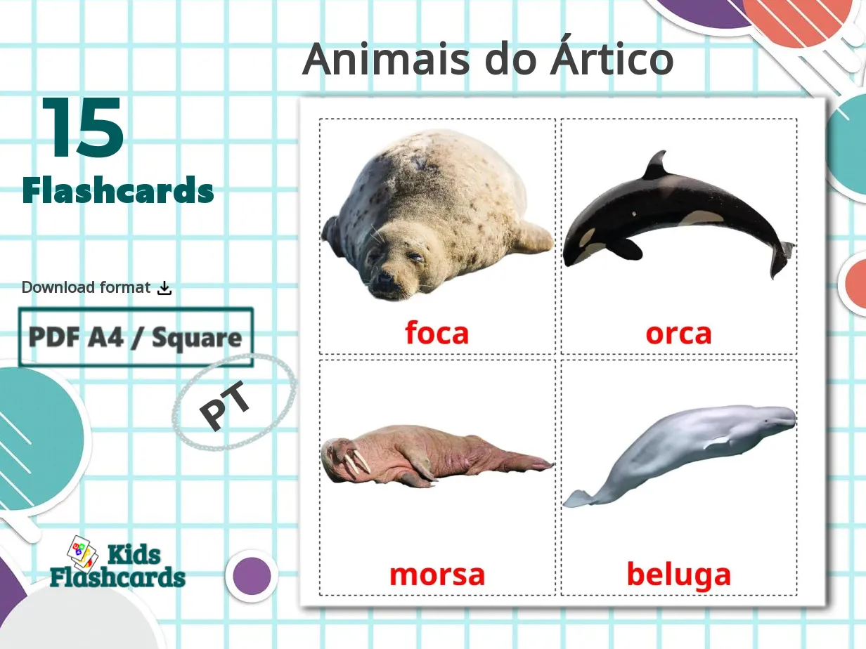 15 Printable Arctic animals Flashcards in Portuguese (Free PDF)