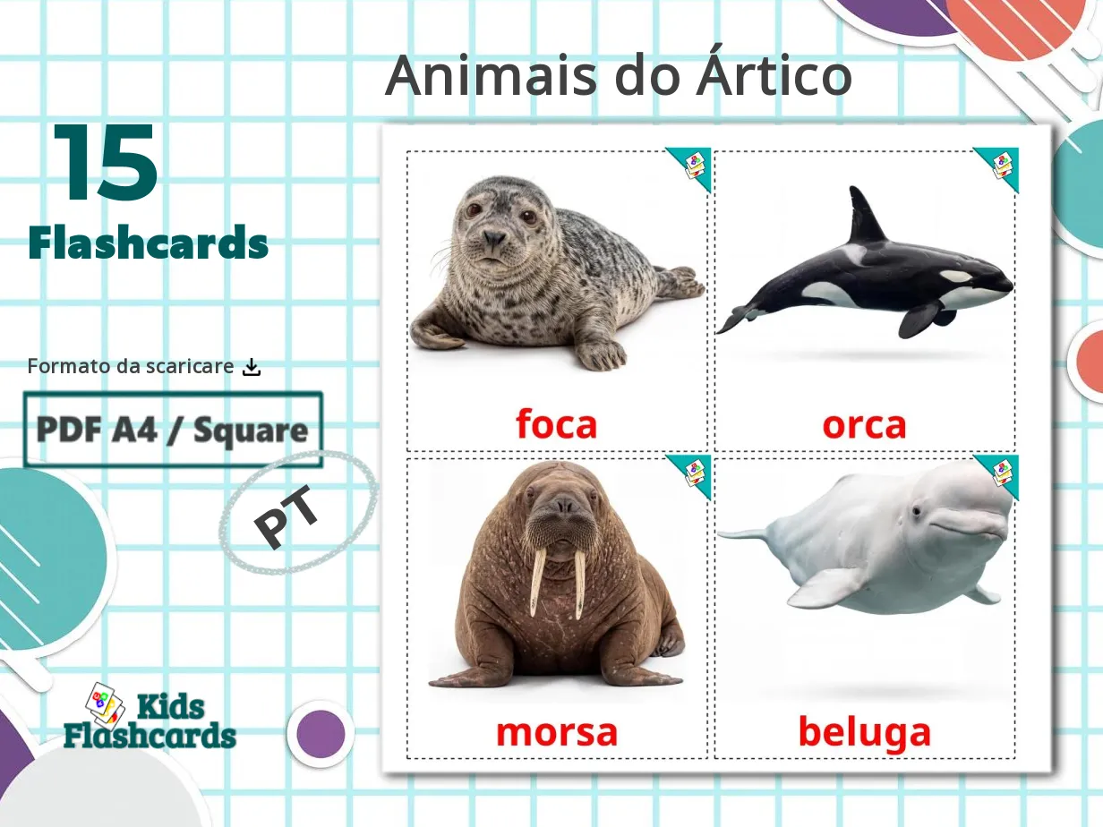 15 Flashcard GRATUITE sui Animali artici in 4 Formati PDF | Immagini in ...