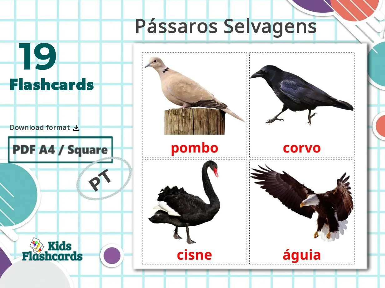 19 Printable Wild birds Flashcards in Portuguese (Free PDF)