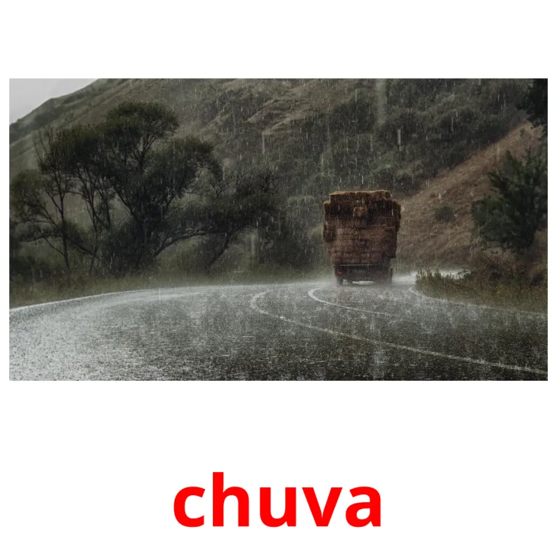 31 FREE Weather Flashcards | PDF | Portuguese Words