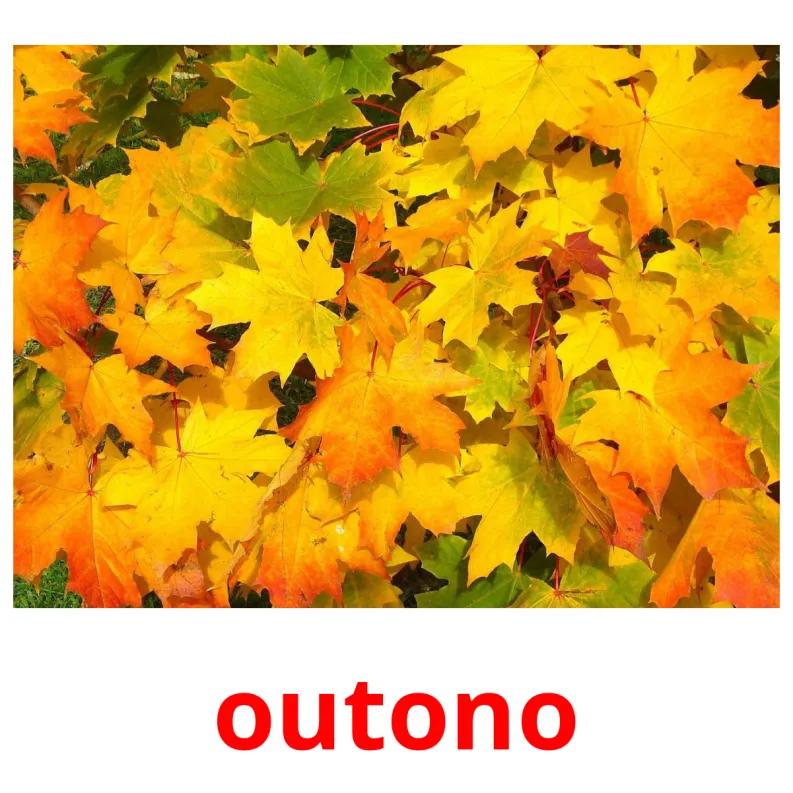 31 FREE Weather Flashcards | PDF | Portuguese Words