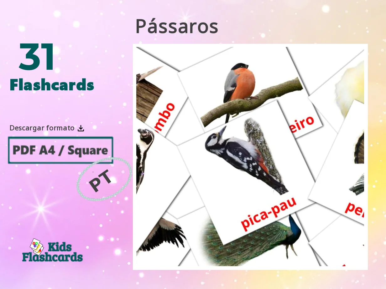 31 Tarjetas Didacticas de Aves para Imprimir GRATIS en Portugués | PDFs