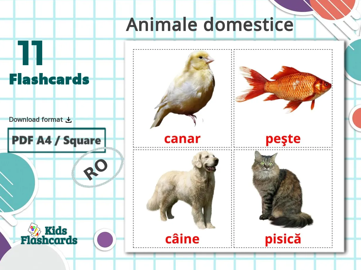 11 Printable Domestic animals Flashcards in Romanian (Free PDF)
