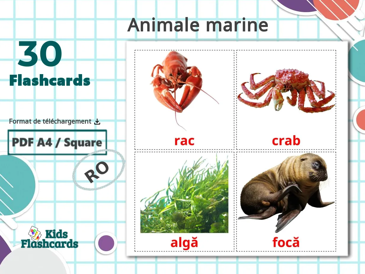 30 Cartes de Vocabulaire pour Enfants GRATUITES Les Animaux Marins à ...