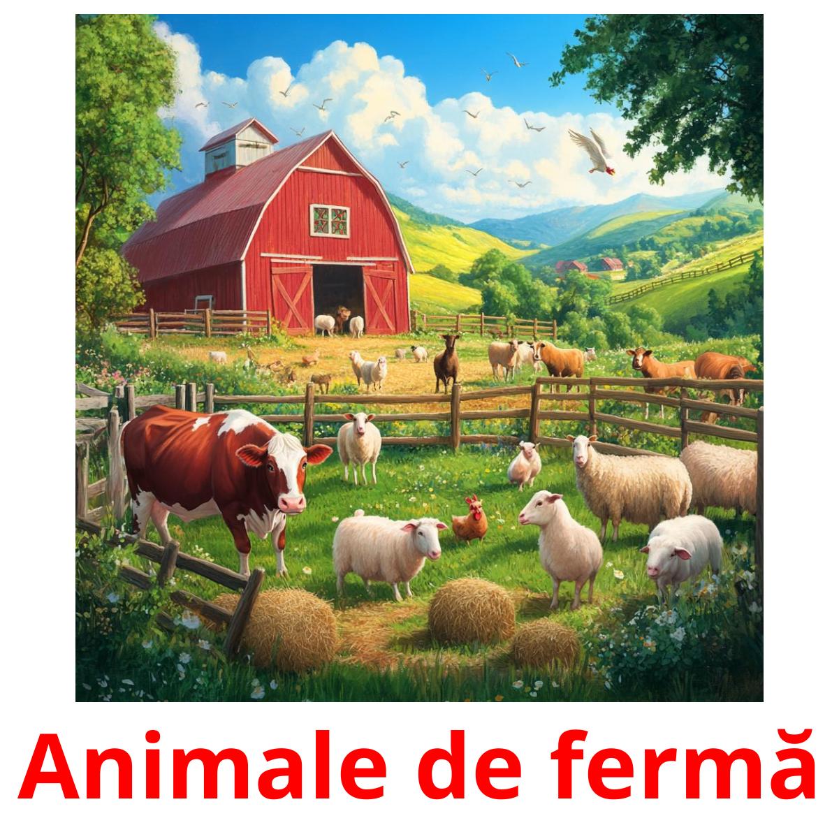 16 Printable Farm animals Flashcards in Romanian (Free PDF)