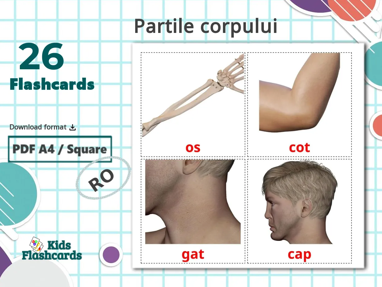 26 Printable Body Parts Flashcards in Romanian (Free PDF)