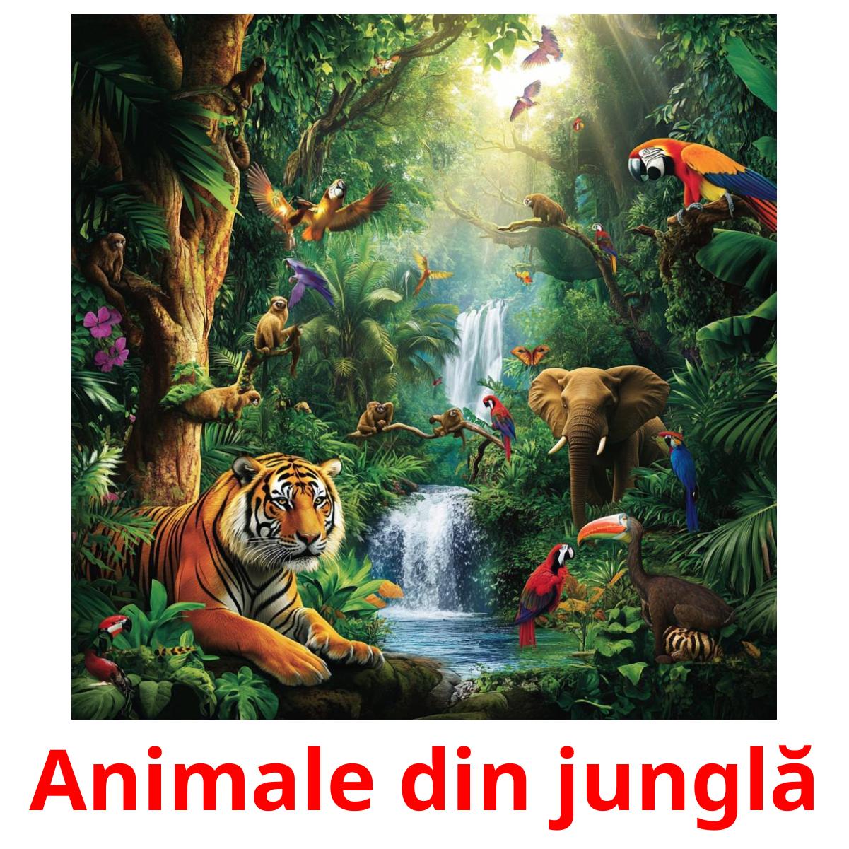 22 Printable Jungle animals Flashcards in Romanian (Free PDF)