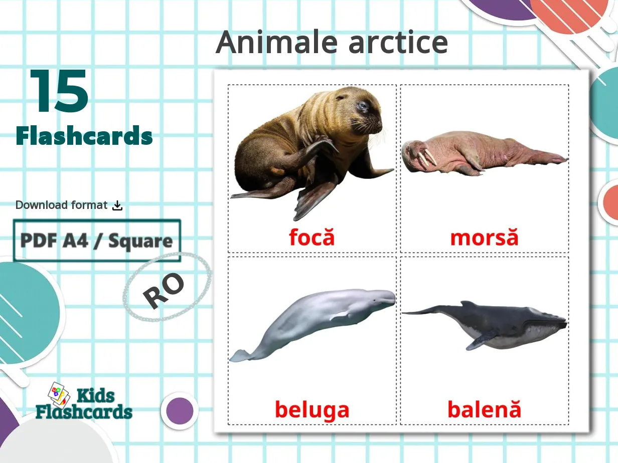 15 Printable Arctic animals Flashcards in Romanian (Free PDF)