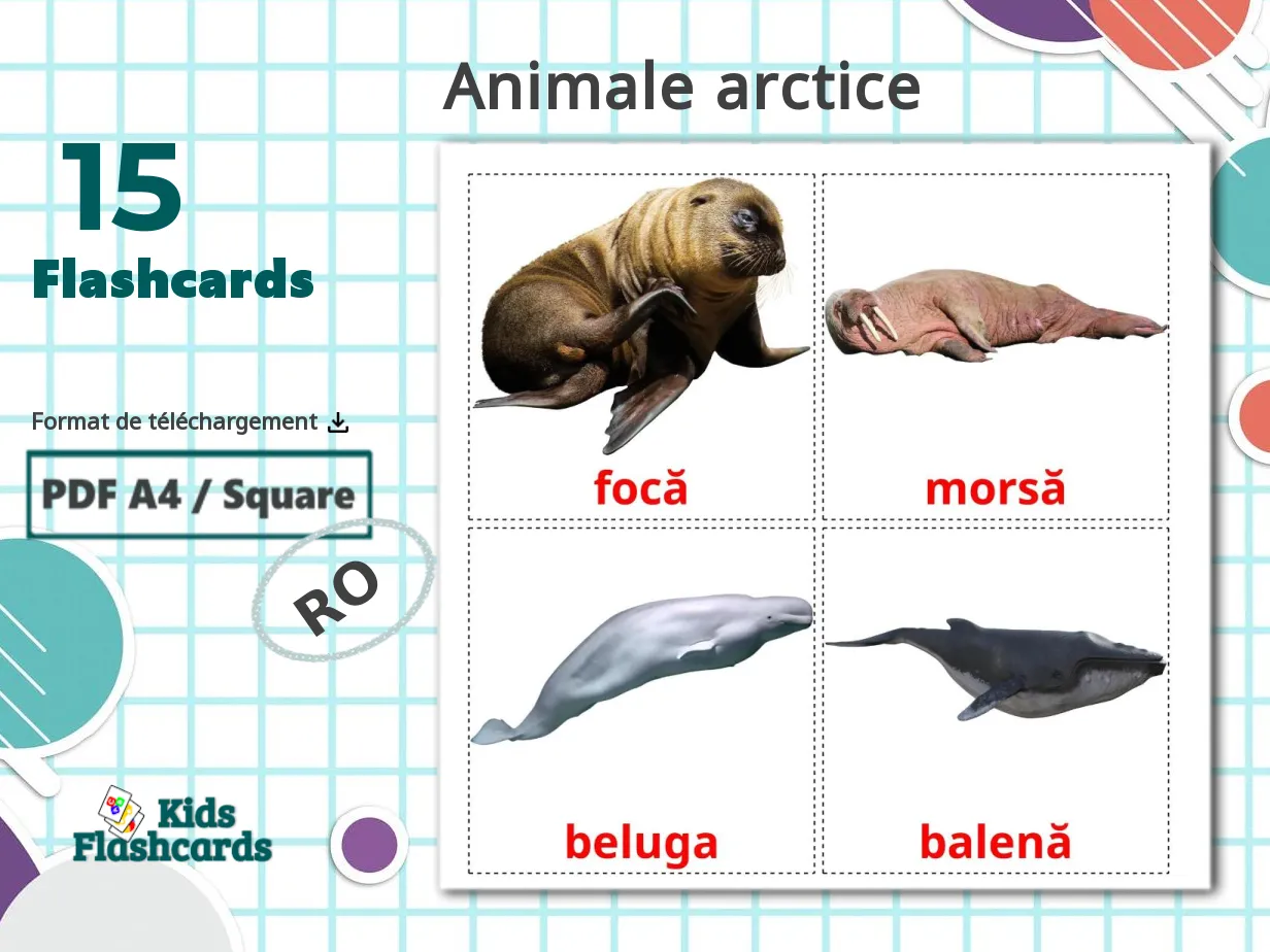 15 Cartes Nomenclature Montessori Les Animaux de l'Arctique GRATUIT à ...