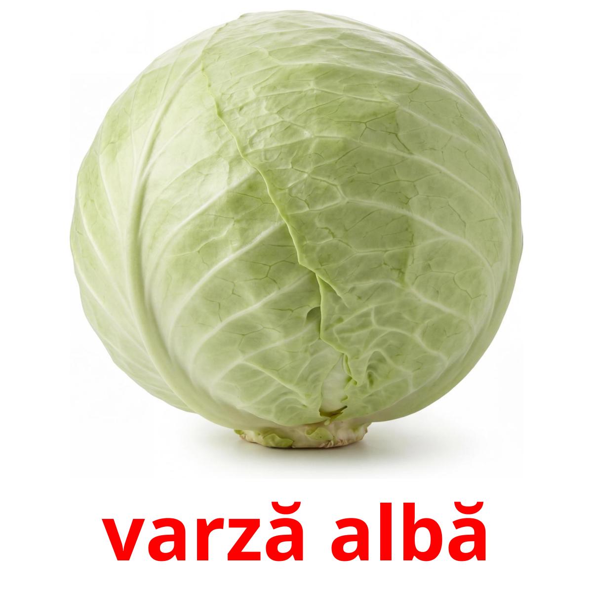 30 Printable Vegetables Flashcards in Romanian (Free PDF)