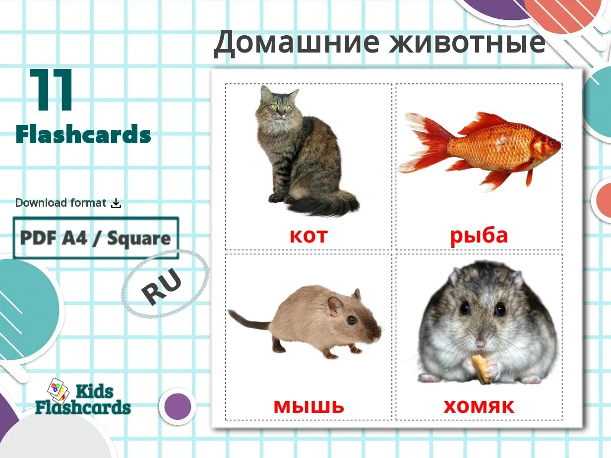 11 Printable Domestic animals Flashcards in Russian (Free PDF)
