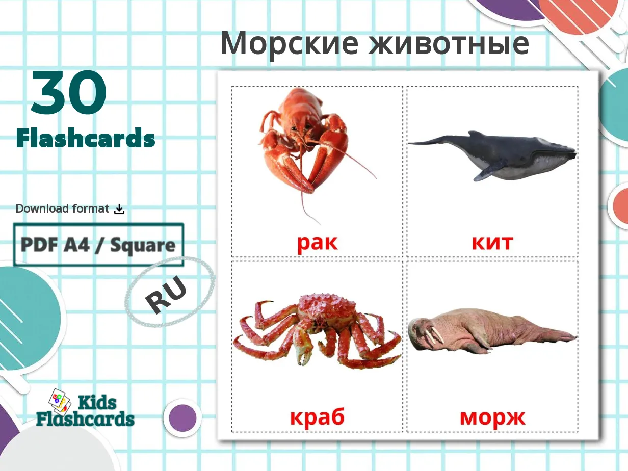 30 Printable Sea animals Flashcards in Russian (Free PDF)