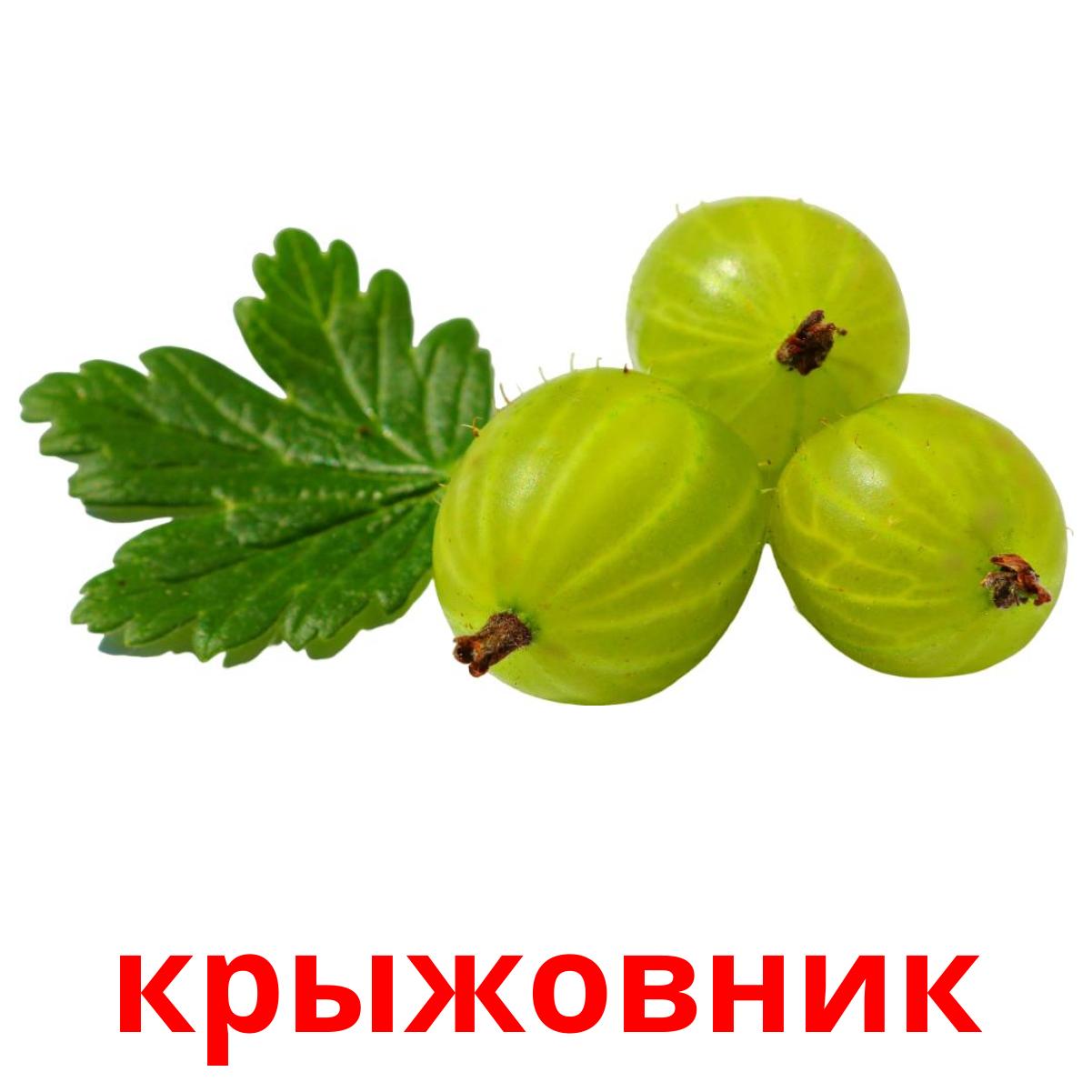 12 Printable Berries Flashcards in Russian (Free PDF)