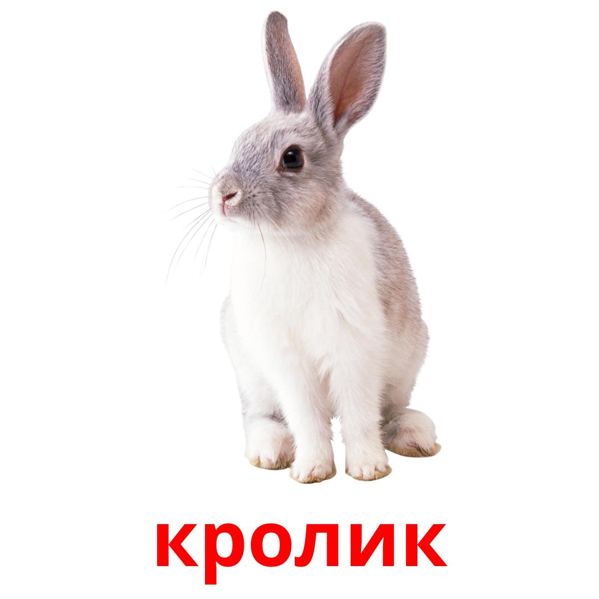 16 Printable Farm animals Flashcards in Russian (Free PDF)