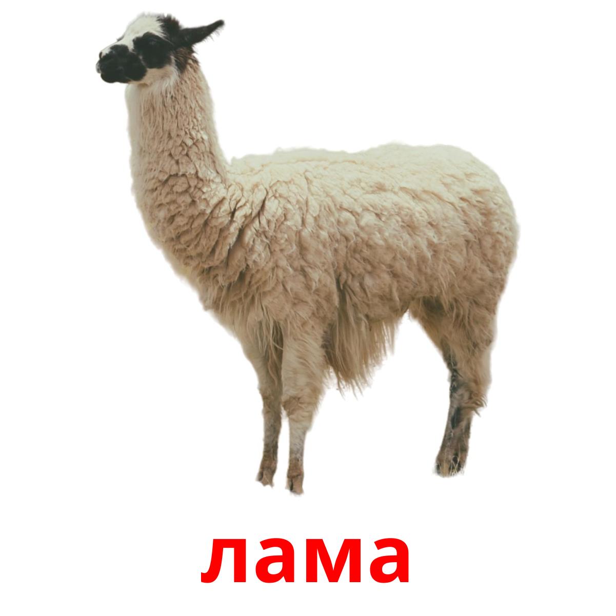 16 Printable Farm animals Flashcards in Russian (Free PDF)