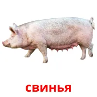 16 Printable Farm animals Flashcards in Russian (Free PDF)