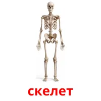 26 Printable Body Parts Flashcards in Russian (Free PDF)