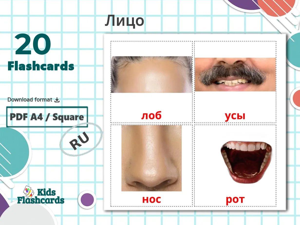 20 Printable Face Flashcards in Russian (Free PDF)