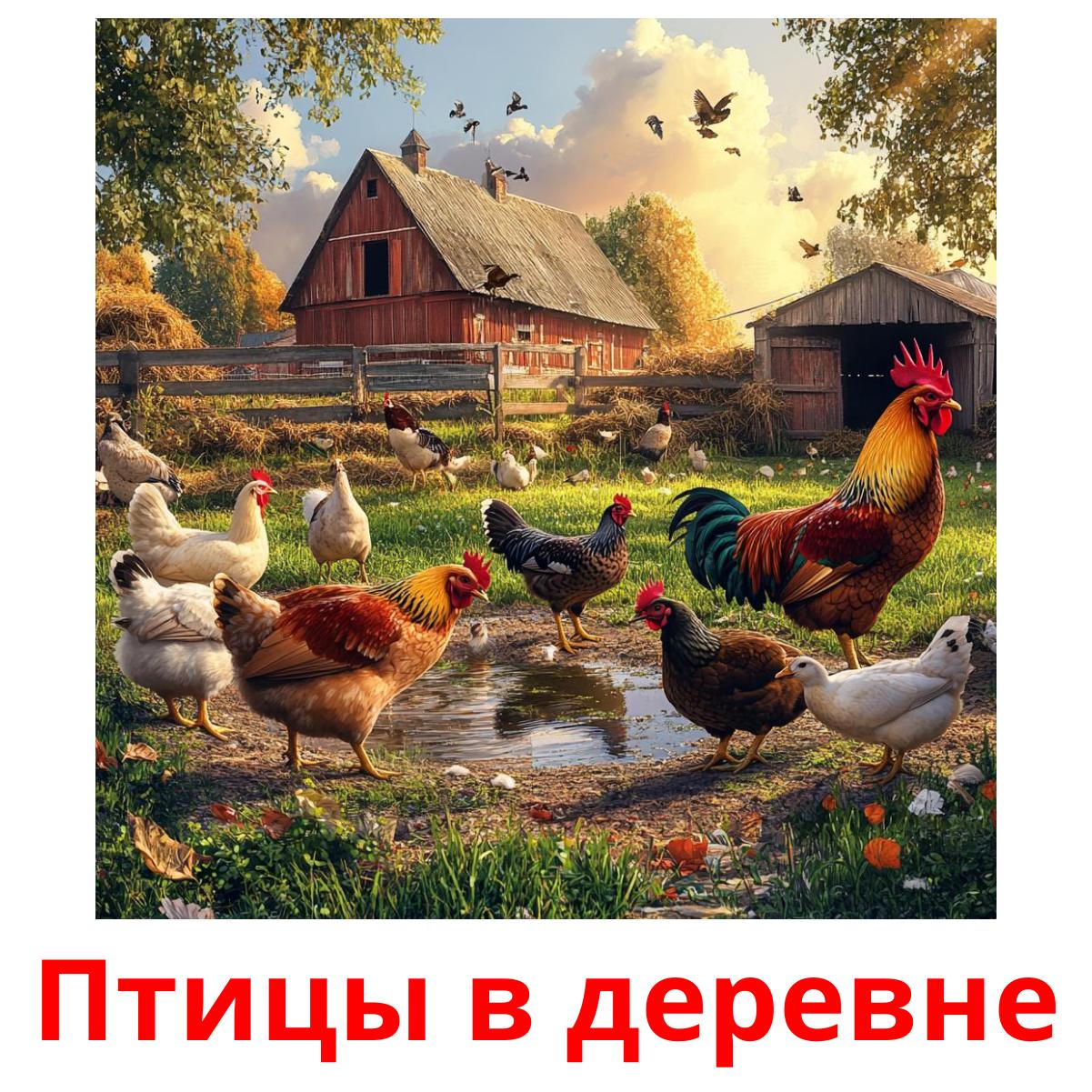 12 Printable Farm birds Flashcards in Russian (Free PDF)