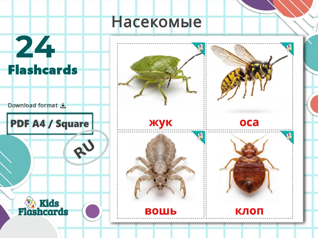 24 Printable Insects Flashcards in Russian (Free PDF)