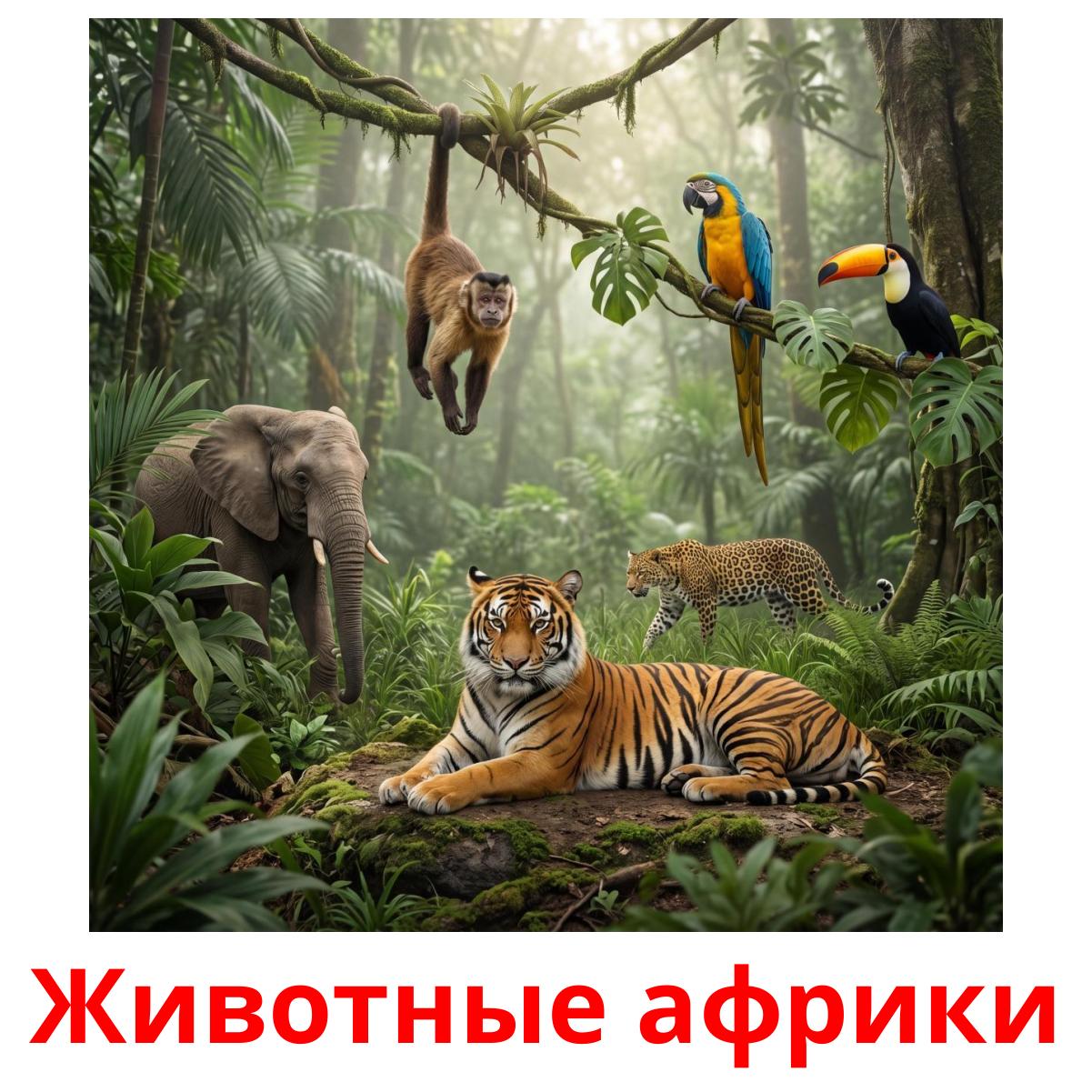 22 Printable Jungle animals Flashcards in Russian (Free PDF)