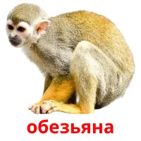 22 Printable Jungle animals Flashcards in Russian (Free PDF)