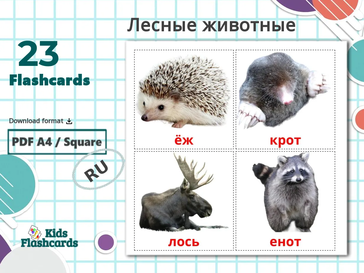 23 Printable Forest animals Flashcards in Russian (Free PDF)