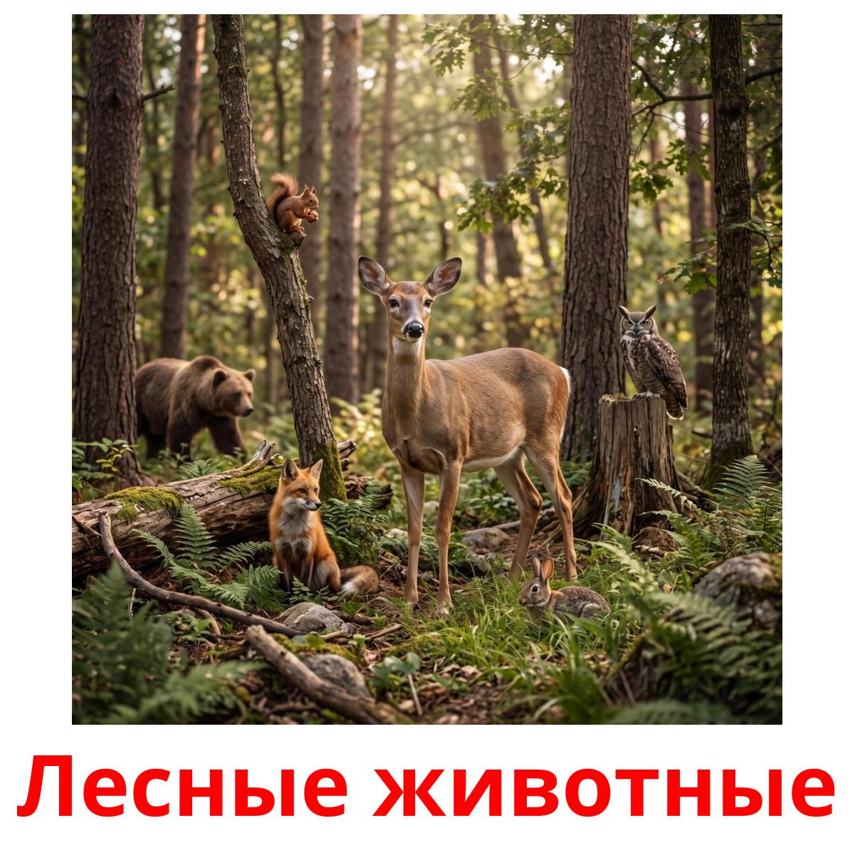 23 Printable Forest animals Flashcards in Russian (Free PDF)