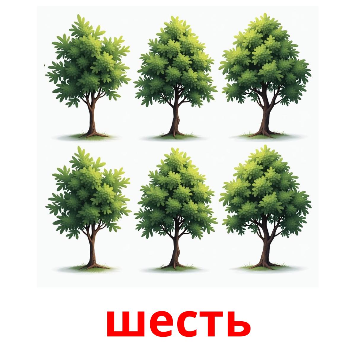 10 Printable Counting Flashcards in Russian (Free PDF)