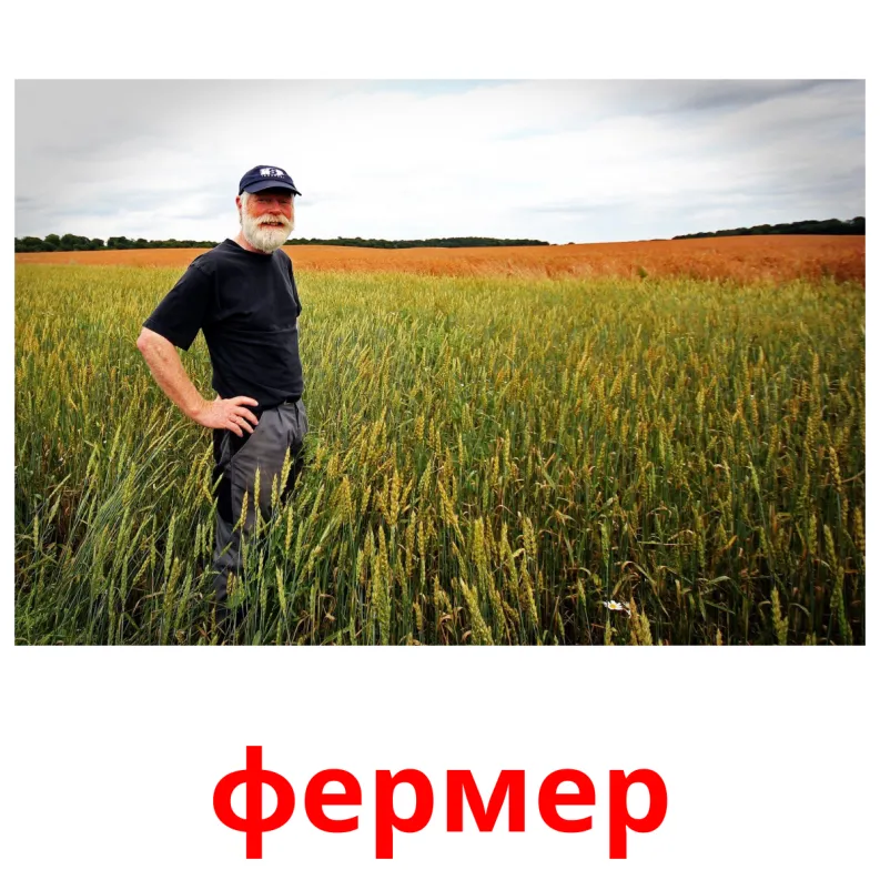 51 FREE Jobs and Occupations Flashcards | PDF | Russian Words