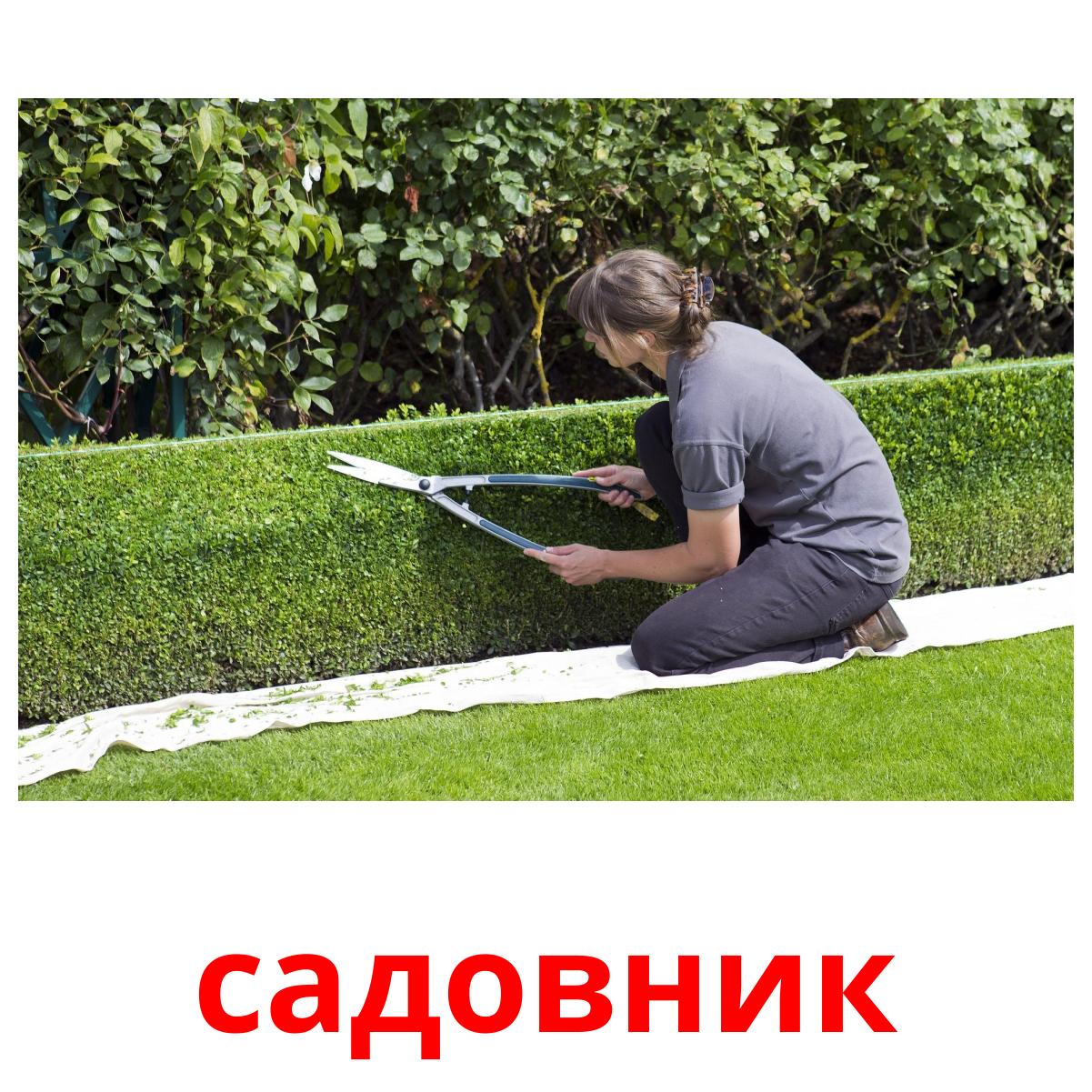 48 Printable Jobs and Occupations Flashcards in Russian (Free PDF)