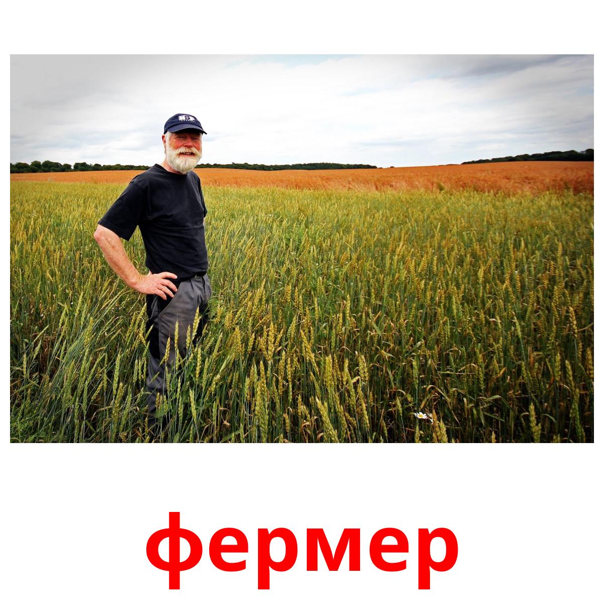 48 Printable Jobs and Occupations Flashcards in Russian (Free PDF)